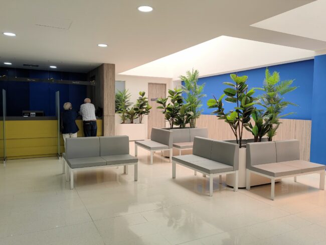 Examenes Archives | ESCANO